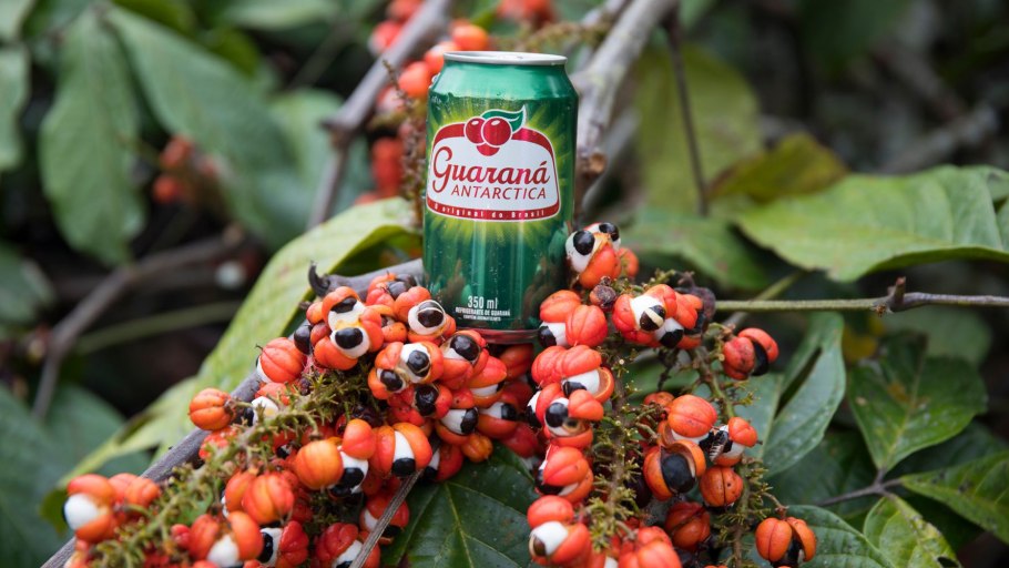 Гуарана фрукт (42 фото) - красивые картинки и обои на рабочий стол